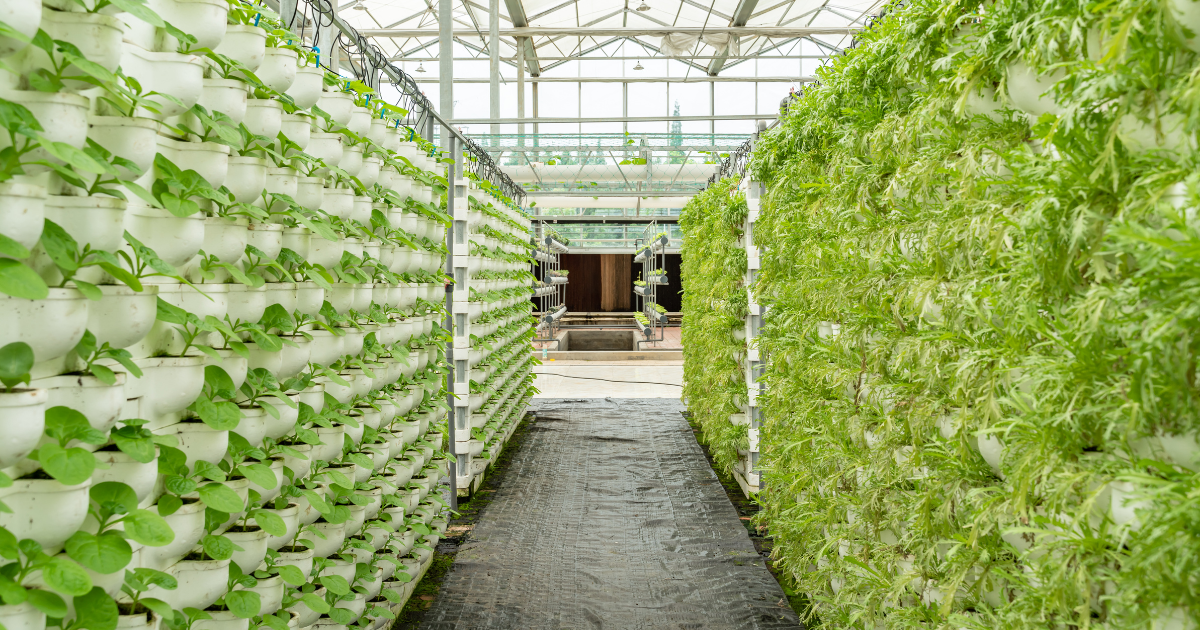 Green Technology Examples, Facts, and Benefits