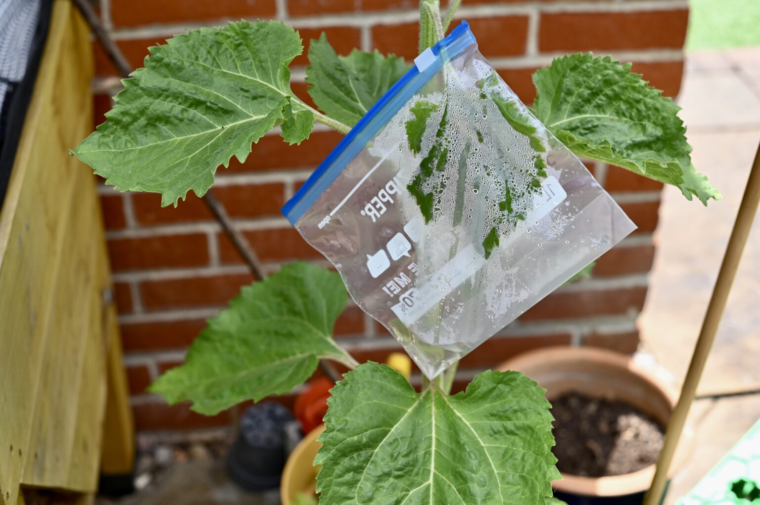 15 Challenging Science Experiments for High School Students